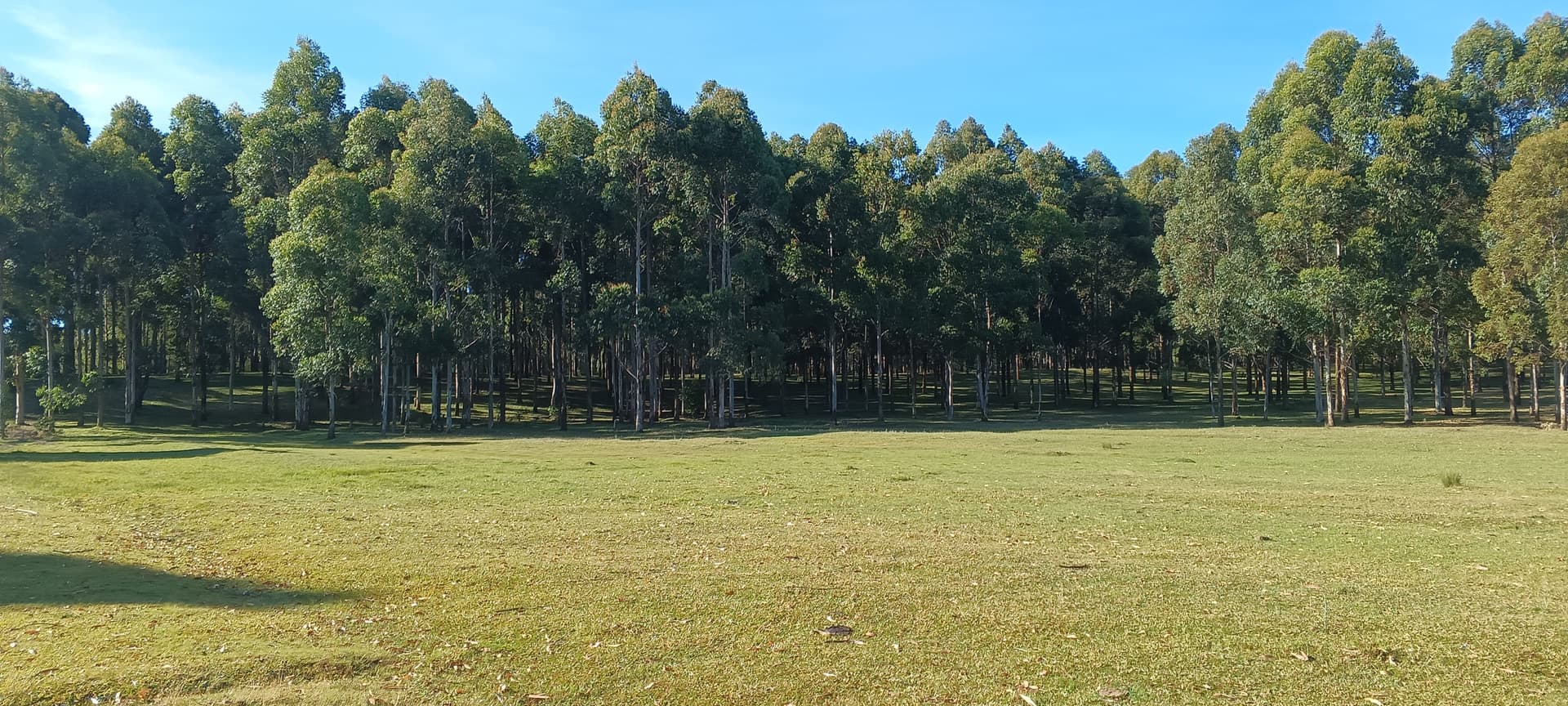 Kenya Forestry College | Quality Training for a Changing Climate ...